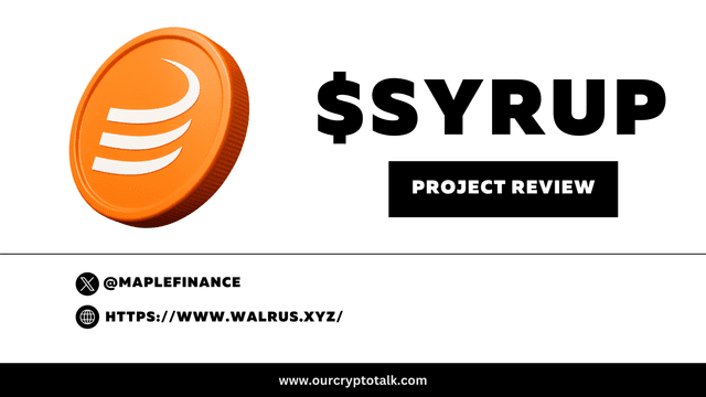 Maple Finance ($SYRUP) Review | Our Crypto Talk